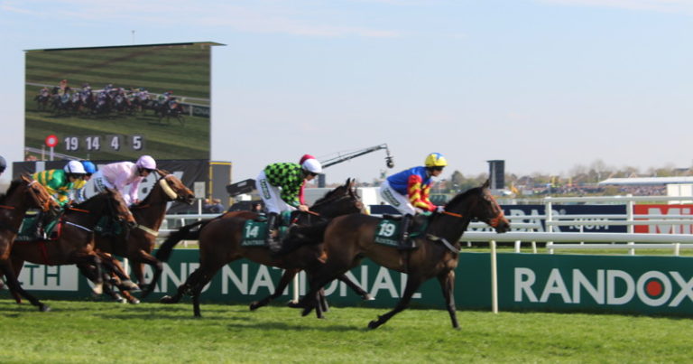 Official Ratings In Horse Racing | Understanding Racing