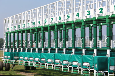 Causes Of False Starts In Horse Racing & What Happens | Understanding ...