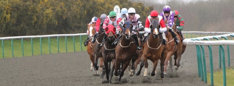 Blinkers In Horse Racing – Do They Influence Performance ...