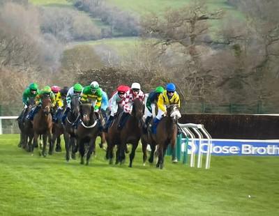 Official Ratings In Horse Racing | Understanding Racing