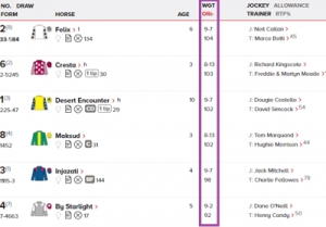 Official Ratings In Horse Racing | Understanding Racing
